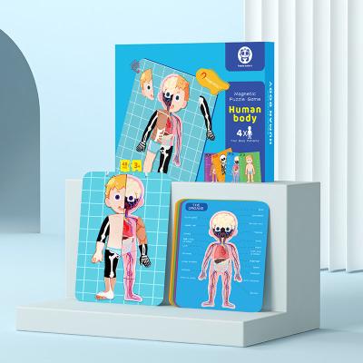 China 48Pcs Kids Magnetic Puzzles Human Anatomy Puzzle Montessori Body Parts Jigsaw Puzzle for sale