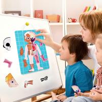 China 48Pcs Kids Magnetic Puzzles Human Anatomy Puzzle Montessori Body Parts Jigsaw Puzzle for sale