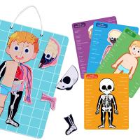 China Human Body Anatomy Learning Magnetic Puzzle For Ages 3-8 Kids 48Pcs With Gift Box for sale