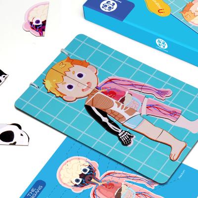 China Magnetic Educational Puzzle Human Body Internal Anatomy Montessori Homeschooling Ages 3+ Toddler Toys for sale