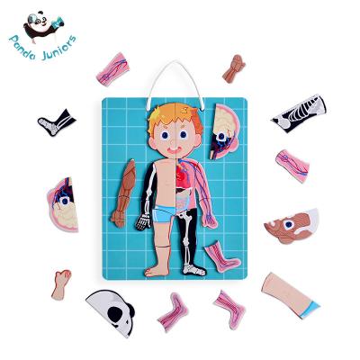China Magnetic Human Body Anatomy Play Set Multi Color Jigsaw Puzzle For Kids for sale