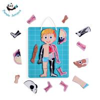 China Human Body Magnetic Puzzle Game Material Glossy Artpaper White Board for Kids 3+ for sale