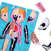 China Magnetic Jigsaw Puzzle Preschool Learning Toys , Human Body Bones And Muscles Toys Aged Over Three for sale