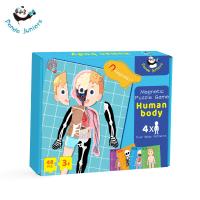 China Educational Human Body Puzzle Anatomy Toys Logical Thinking Gifts For Preschoolers for sale