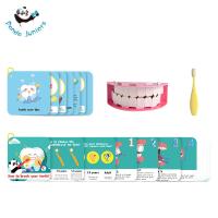China Montessori Practical Life Brushing Model 18 Cards include Professional Health Tips about Protecting Teeth for sale
