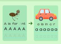 China ABC Learning Preschool Flash Cards for sale