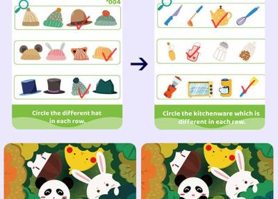 China 50 Pieces Early Learning Flash Cards Spot The Difference Games For Kids 3-6 for sale