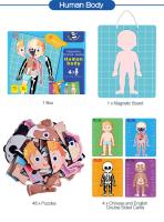 China Human Body Educational Jigsaw Puzzle Toys Skeleton Early Learning  for 3 4 5 6 7 8 Years Old for sale