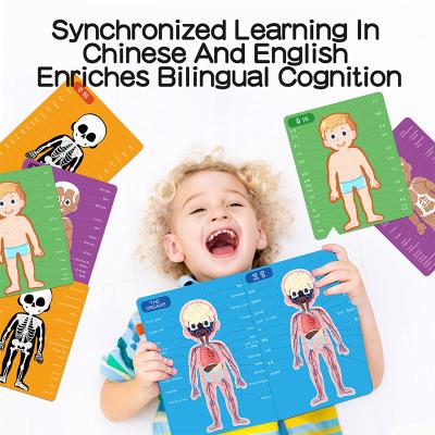 China Children Education Magnetic Jigsaw Puzzle For Human Body Cognition for sale