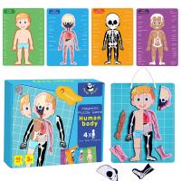 China Learn The Human Body Muscles Skeleton Organs Educational Puzzle Toys For Kids for sale