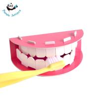 China Preschool Educational Toys How To Brush Your Teeth Toothbrush Toys For Kids for sale