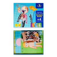China Human Anatomy Body Parts Learning Magnetic Jigsaw Puzzles Games for Toddlers for sale