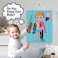 China Human Anatomy Body Parts Learning Magnetic Jigsaw Puzzles Games for Toddlers for sale