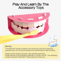 China EN71 Preschool Educational Toys For Kids Good Tooth Brush Habits Training for sale