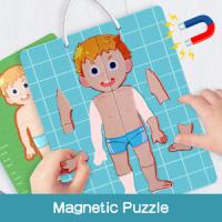 China EN-71 Panda Juniors Magnetic Body Parts Puzzle For Preschool Education for sale