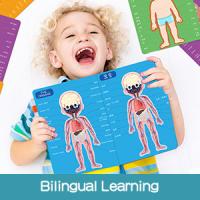 China 48pcs Preschool Educational Human Body Anatomy Magnetic Puzzle Toys For Travel for sale