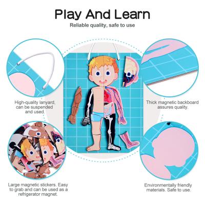 China ASTM FM963 Body Cognitive Magnetic Puzzle Game For 3 - 8 Years Old Kids for sale