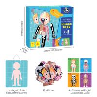 China ASTM FM963 Body Cognitive Magnetic Puzzle Game For 3 - 8 Years Old Kids for sale