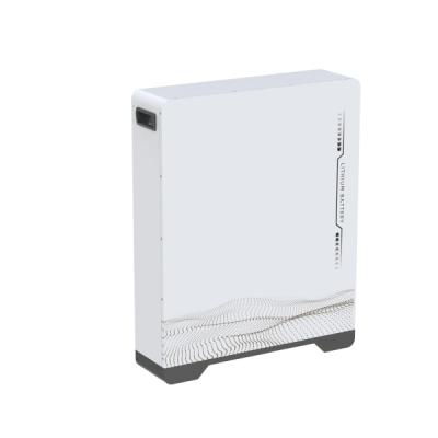 China High Capacity 51.2V 300Ah LiFePO4 Battery Pack with 15kWh Energy Storage for Home Systems for sale