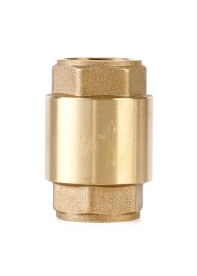 China Jiangting 4 Inch Brass Check Valve NPT BSP BSPP Thread Durable for sale