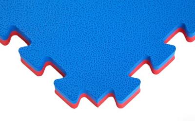 China 1 Inch EVA Interlocking MMA Mats 2x2 ft Reversible Beveled Edge Foam Flooring for Martial Arts Judo BJJ Gym for sale