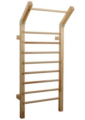 China Gym Balance Wall Bars 40 lbs for MMA Wrestling UFC Judo Training Bodyweight Exercise for sale
