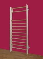 China Stall Bars Wall Mounted Gymnastics Ladder 200x85x11cm DIN EN1234 for sale