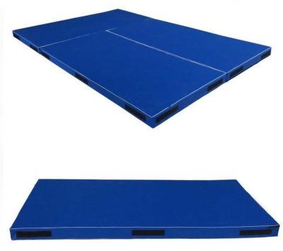 China Washable Gymnastics Soft Mat 600x200x10cm with Demarcation Lines Blue for sale