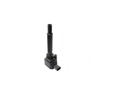 China Ignition coil replacement compatible with model 55234131 BERU0040100087 optimized to ensure spark production and engine ignition for sale