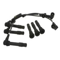China Ignition Wire Set - OE: NGC 104250L for sale