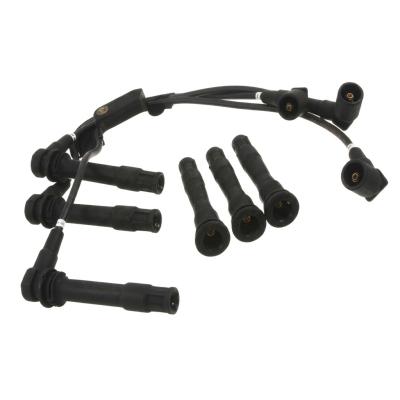 China Ignition Wire Set - OE: NGC 104250L for sale