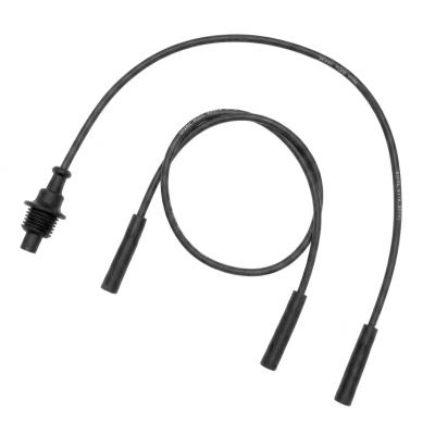 China Ignition Wire Set - OE: 5967.C2 for sale