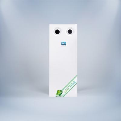 China HEPA F9 Filters Pm2.5 Purifier 200 CMH Wall Mounted ERV for sale