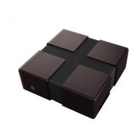China Anion Generator H13 HEPA Filter Car Air Purifier for sale