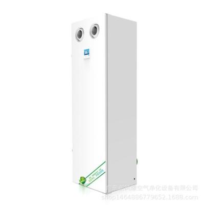 China Removal PM2.5 Dust Odor 380m3/h 100m2 Wall Mounted ERV for sale