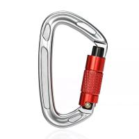 China Polished Precision Casting Swivel Snap Hook Carabiner with 400lbs Load Capacity for sale