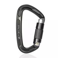 China Polished Precision Casting Swivel Snap Hook Carabiner with 400lbs Load Capacity for sale