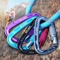 China Polished Precision Casting Swivel Snap Hook Carabiner with 400lbs Load Capacity for sale