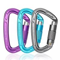 China Polished Precision Casting Swivel Snap Hook Carabiner with 400lbs Load Capacity for sale