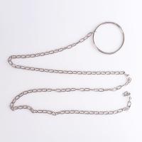 China Durable SS304 SS316 SS316L Polished Stainless Steel DIN766 Short Link Chain for Conveyor for sale