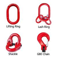 China Double Hook Four Hook Sling Ring Lifting Chain Sling for Heavy-Duty Construction for sale