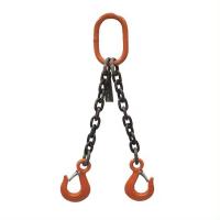 China Standard Blacken Finished Strong G80 Alloy Steel Lifting Chain Sling with Hook for sale