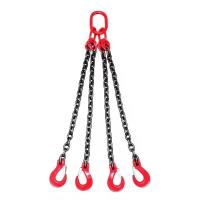 China Standard Blacken Finished Strong G80 Alloy Steel Lifting Chain Sling with Hook for sale