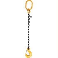 China Standard Blacken Finished Strong G80 Alloy Steel Lifting Chain Sling with Hook for sale