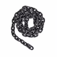 China Professional Lifting Chain for Safe and Precise Weight Lifting Applications for sale
