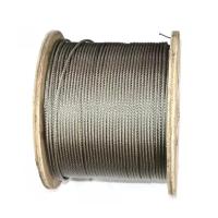 China Steel Core Stainless Steel Wire Rope Cable 1*7 1*19 7*19 Galvanized Type of Core Grade for sale