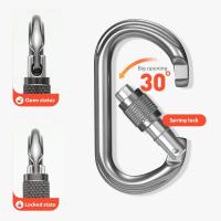 China 25KN Snap Hook Locking Aluminum Carabiner Clip Heavy Industry Must-Have Accessory for sale