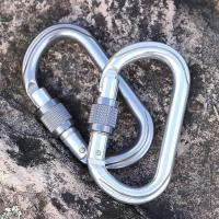 China 25KN Snap Hook Locking Aluminum Carabiner Clip Heavy Industry Must-Have Accessory for sale