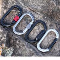 China 25KN Snap Hook Locking Aluminum Carabiner Clip Heavy Industry Must-Have Accessory for sale