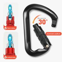 China Aluminum 30KN D Shape Climbing Snap Hook Customized Outdoor Carabiner for sale